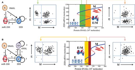 Population Distribution Or Multimodality In Emt Response A Middle