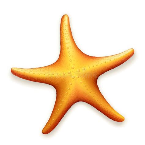 Sea Starfish Stock Vector Illustration Of Abstract Vector 34189401