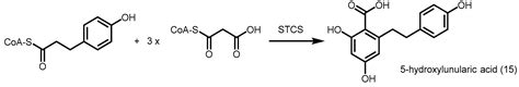 Molecules Free Full Text Exploiting The Biosynthetic Potential Of Type Iii Polyketide Synthases