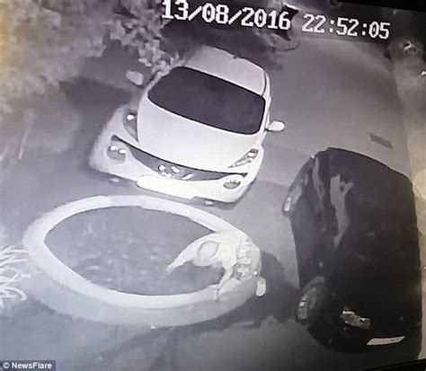 Drunk Dad Caught On Camera Stumbling Down Driveway And Falling Into