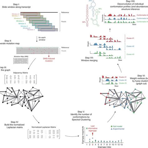 In Vitro Validation Of Draco A Original Dms Mapseq Profile And