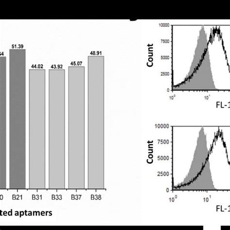 Representation Of Aptamers Binding Affinity A Binding Affinity Of