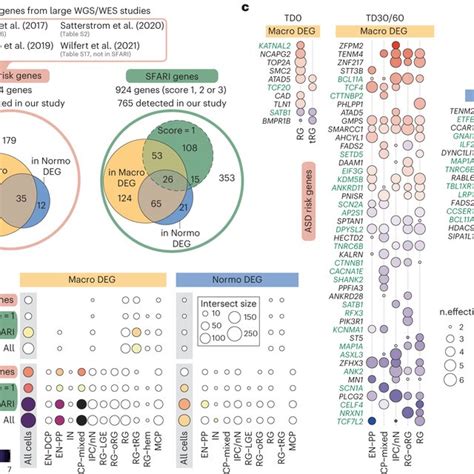 Asd Risk Genes Identified From Rare Variant Studies And The Sfari