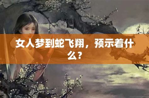女人梦到蛇飞翔，预示着什么？ 命理解梦
