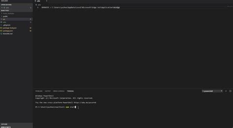 Reactjs Testing A React App In With Microsoft Edge Canary Stack