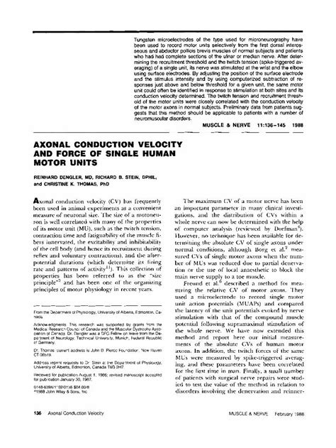 Pdf Axonal Conduction Velocity And Force Of Single Human Motor Units