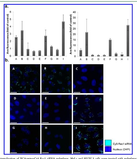 Figure 2 From Structure Function Correlation Of Aminated Poly α Glutamate As Sirna Nanocarriers