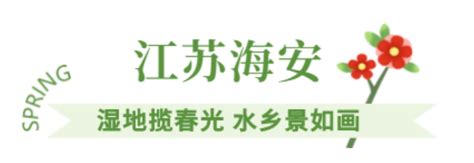 海安再上央视！这次竟是因为白甸镇里下河水道