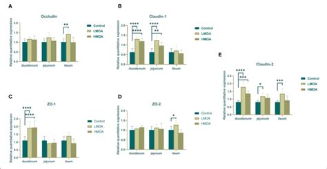 The Gene Expression Of Tight Junction Protein In Duodenum Jejunum