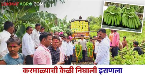 करमाळ्याच्या या दोन भावांनी २० टन केळी पाठविली इराणला वाचा सविस्तर