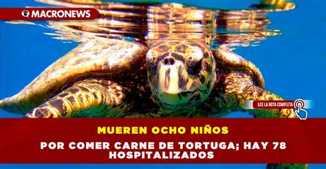 MUEREN OCHO NIÑOS POR COMER CARNE DE TORTUGA HAY HOSPITALIZADOS Macronews