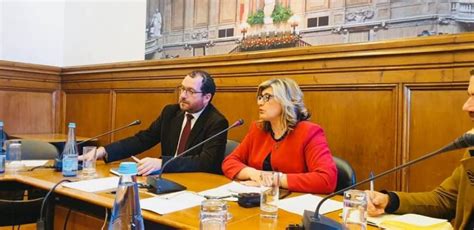 Deputada Do Psd Manuela Tender Lamenta Que Distrital Vila Real Não