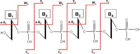 The Standard Nomenclature For Oligonucleotide Fragmentation During