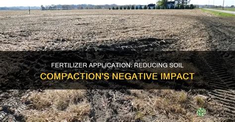 Fertilizer Application Reducing Soil Compaction S Negative Impact ShunCy