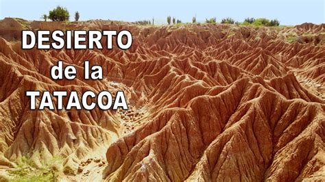 Descubre La Magia Del Desierto De La Tatacoa Una Experiencia única En
