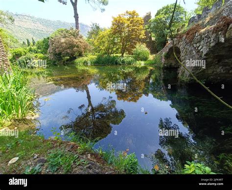 Ninfa S Garden In Italy A Perfect Mix Between Flora Fauna Water And