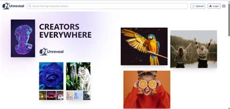 Your Professional Web Developer In Next Js Tailwind Css By Growmore728