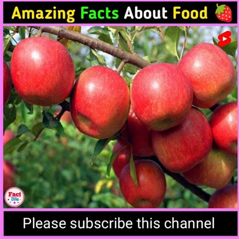 Amazing Fact About Food 🍑🍗 Amazing Facts Mind Blowing Facts In Hindi