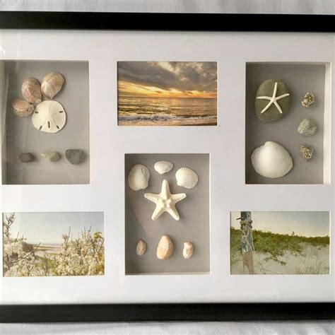 Shell Shadow Box Etsy