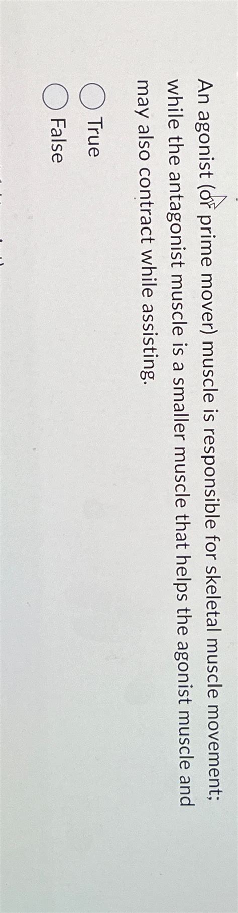 Solved An Agonist Or Prime Mover ﻿muscle Is Responsible
