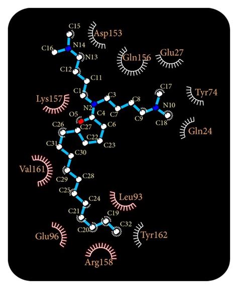 H Bond And Hydrophobic Analysis Of Docking Poses By Ligplot Plus Tool
