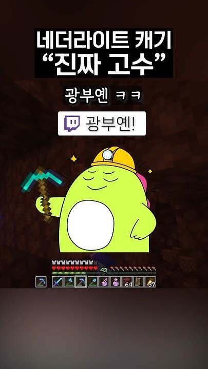 나는 누구 네더라이트 캐기 고수 김 옌 룡 Youtube