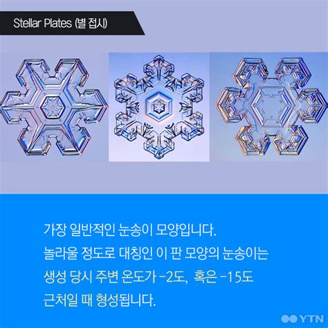 더쿠 눈 결정 모양 유형