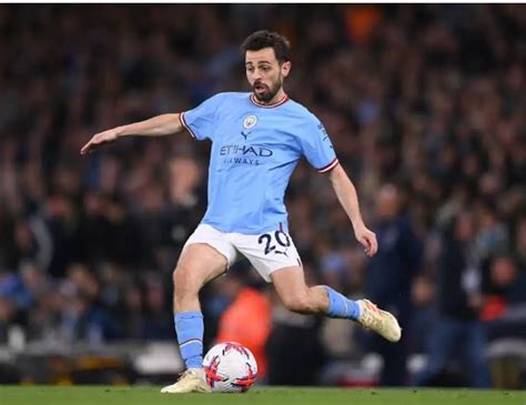 Silva Ligue 1 More Physical Than Premier League