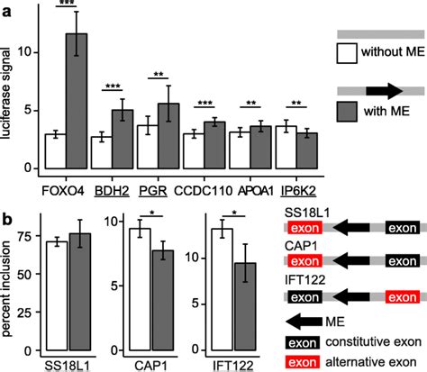 Experimental Validation Of Eqtls A And Sqtls B Gene Names Were
