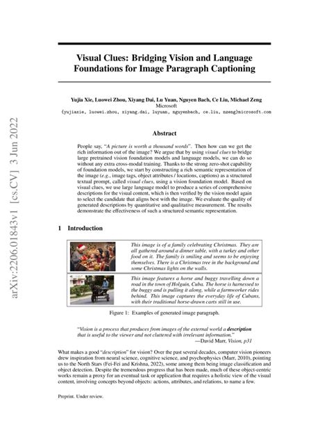 Visual Clues Bridging Vision And Language Foundations For Image Paragraph Captioning Deepai