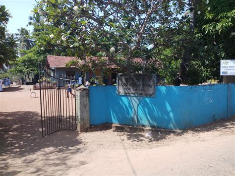 මිහිතලය සුරකිමු දැනට විද්‍යාලයේ තිබෙන අඩුපාඩු අතරින් අප පහත දේවල් හැකි පමණින් ලබා දෙන්න තීරණය