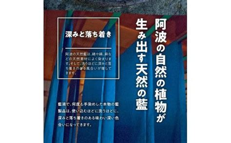 徳島伝統工芸 阿波藍染 扇子【タイコ 阿波踊りb】 徳島県徳島市 セゾンのふるさと納税