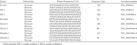 Primer Sequences Used To Measure Gene Expression Download Scientific