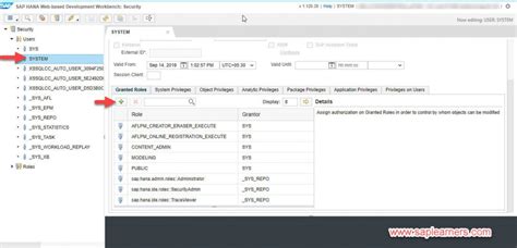 Sap Hana Web Based Development Workbench In Sap Cloud Platform