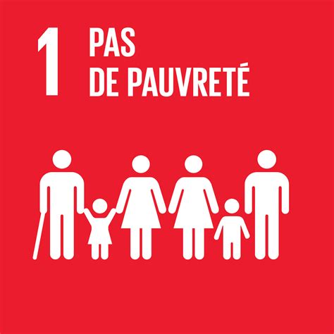Les 17 Objectifs De Développement Durable