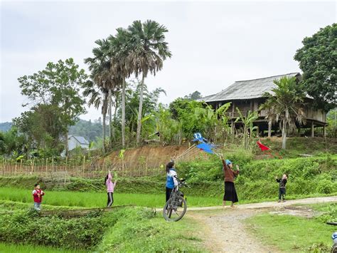 词海 新华字典 汉语词典 英汉词典 科技词典 百家姓词典 英文缩写词典 康熙字典 说文解字 诗文 名句 书籍