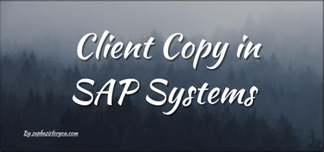 Client Copy In SAP Systems SAP BASIS For You