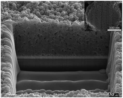 Cross Section Sem Image Of A Bead Electrode Composed Of B23 Beads
