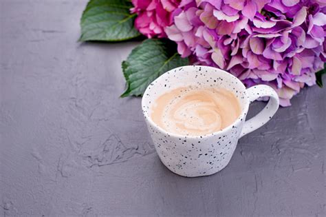 회색 바탕에 신선한 보라색 수 국입니다 향기로운 모닝 커피 한잔입니다 텍스트에 대 한 여유 공간입니다 최고의 볼 수 있습니다