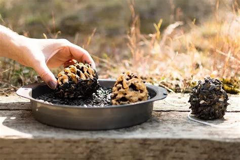 Как сделать кормушку для птиц 50 оригинальных идей своими руками