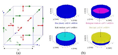 A Yees Cell B Fdtd Models For Biological Dishes Download