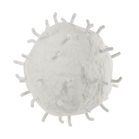 Weiß Blut Zelle 3d Realistisch Symbol Analyse Leukozyten Medizinisch
