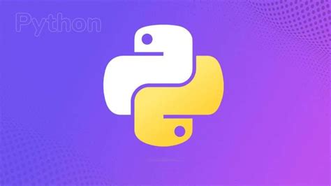 difference between server and database your beginners guide