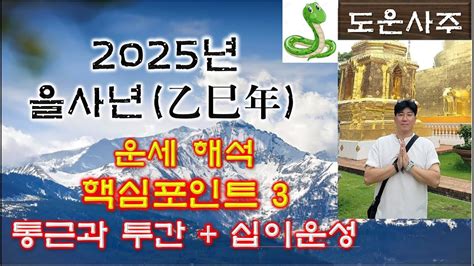 미리보는 2025년 을사乙巳년 운세천간지지의 관계성 보기투간과 통근 십이운성운세보는 핵심포인트3 Youtube