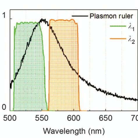 Experimental Setup A A Microfluidic Chamber Containing Surface Download Scientific Diagram