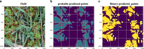 Field Sub Image A Probable B And Binary Spaces C Of Predicted