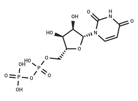 Uridine 5 Diphosphate P2y Receptor Targetmol