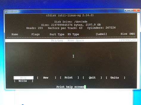 How To Set Up RAID In MegaRAID BIOS With New Disks SysTutorials