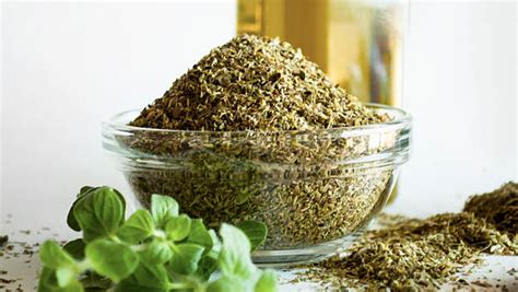 Vaji I Rigonit Vlerat Dhe Përfitimet E Armikut Të Infeksioneve Agroweb