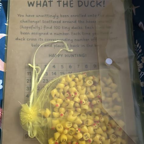 100 Duck Challenge Kit Hide A Duck Kit Miniature Duck Scavenger Hunt